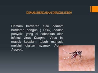power-point-demam-berdarah-dengue-dbd.pptx