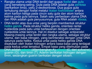 Power point-dna-rna | PPT