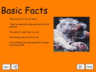 Power Point Project | PPT