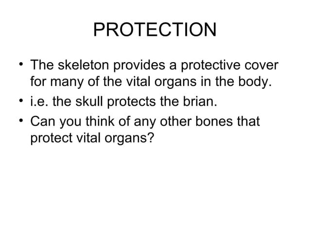 Power Point Skeletal | PPT
