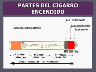Power point tabaco 2ªtutoría | PPT