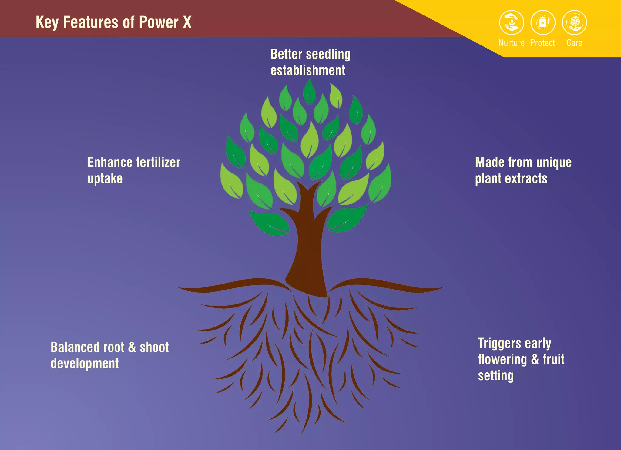 Power x- granules | PDF