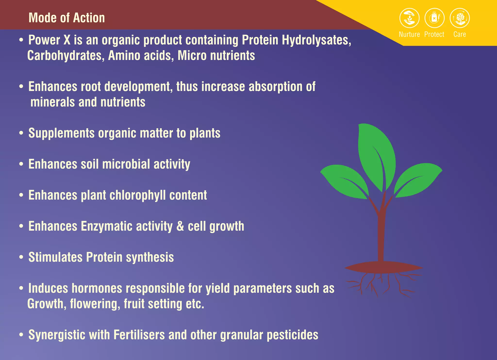 Power x- granules | PDF