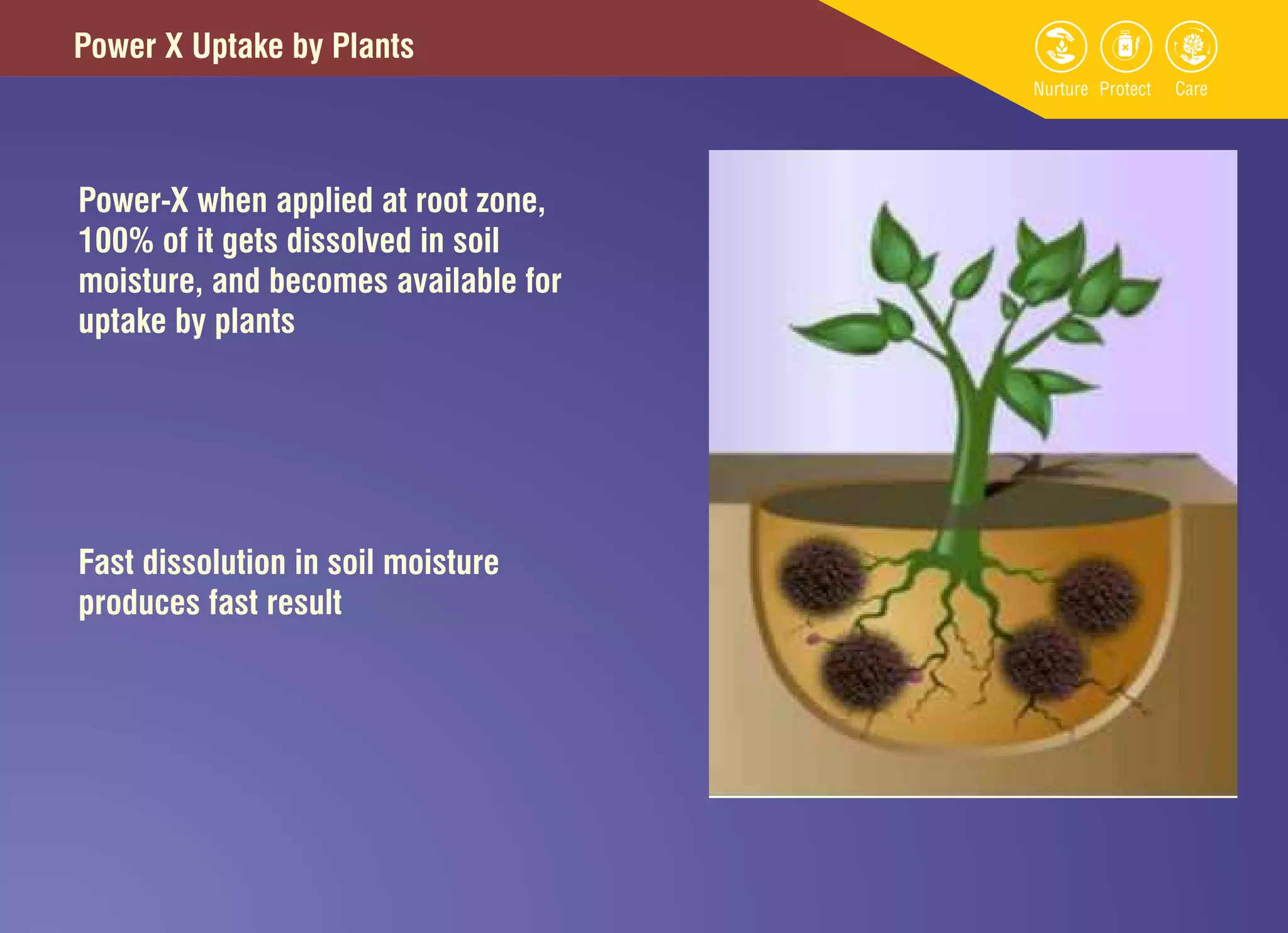 Power x- granules | PDF