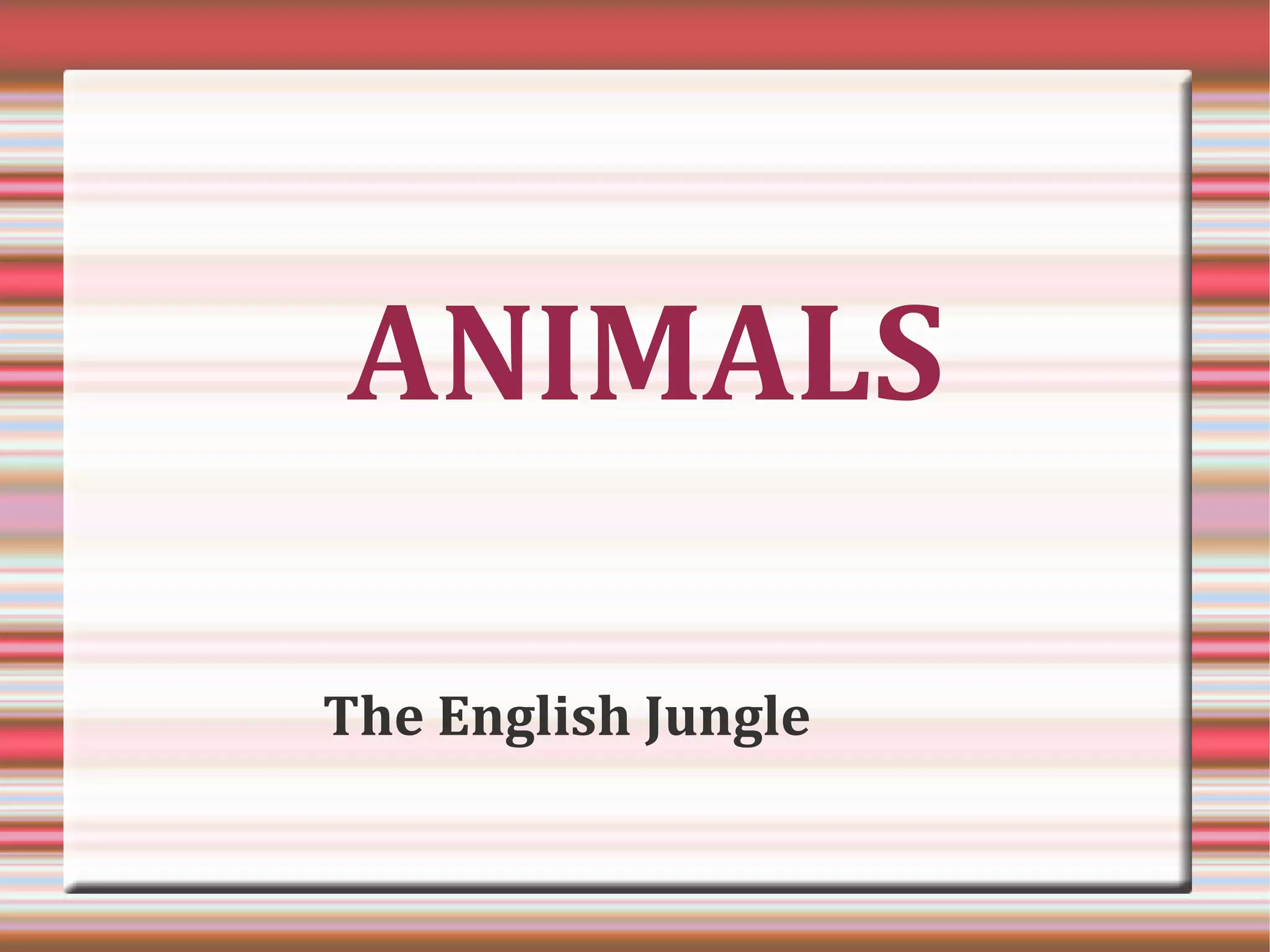 Animals - The English Jungle | ODP