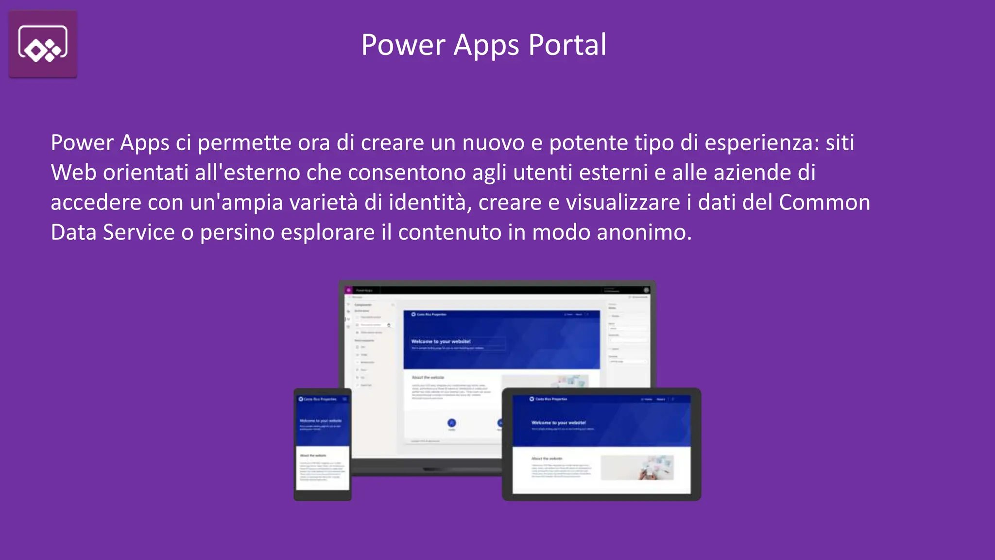 Power Apps Introduction (Eduard Capanu).pptx