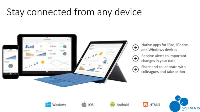 Power BI: From the Basics | PPTX