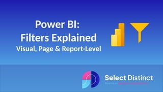 Power BI Filters Explained: Visual, Page & Report-Level | PPTX