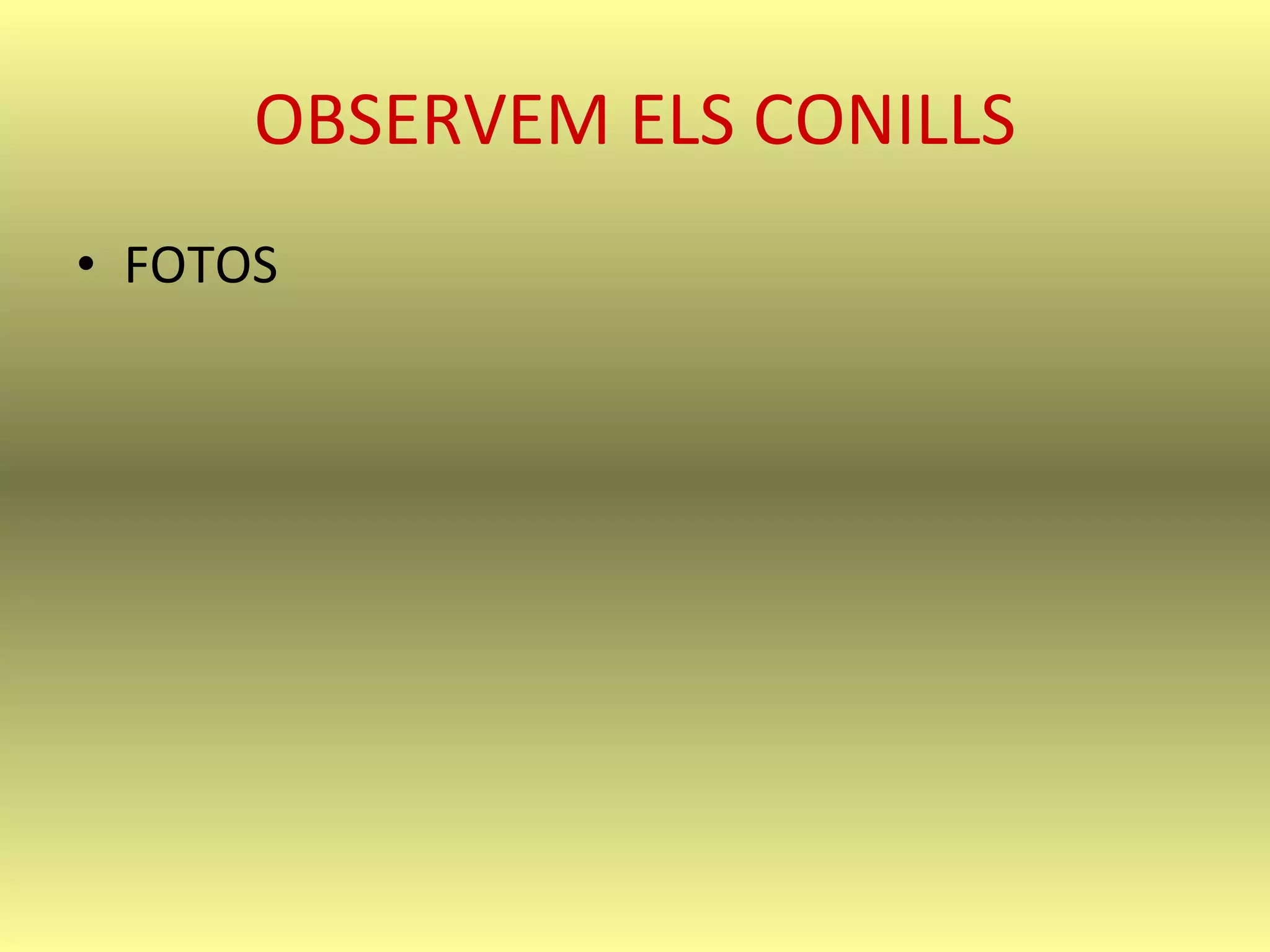 Power conills | PPT | Cats | Pets