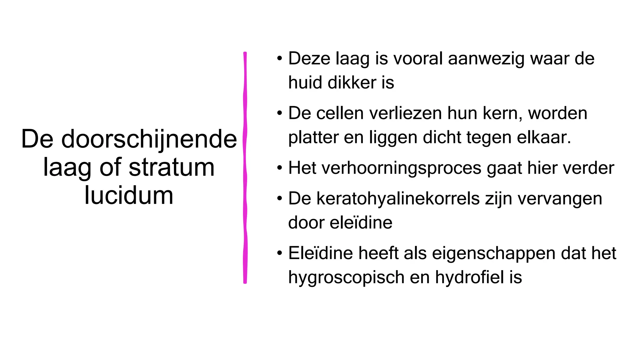 Alle basische theorie over de huid anatomy | PPTX