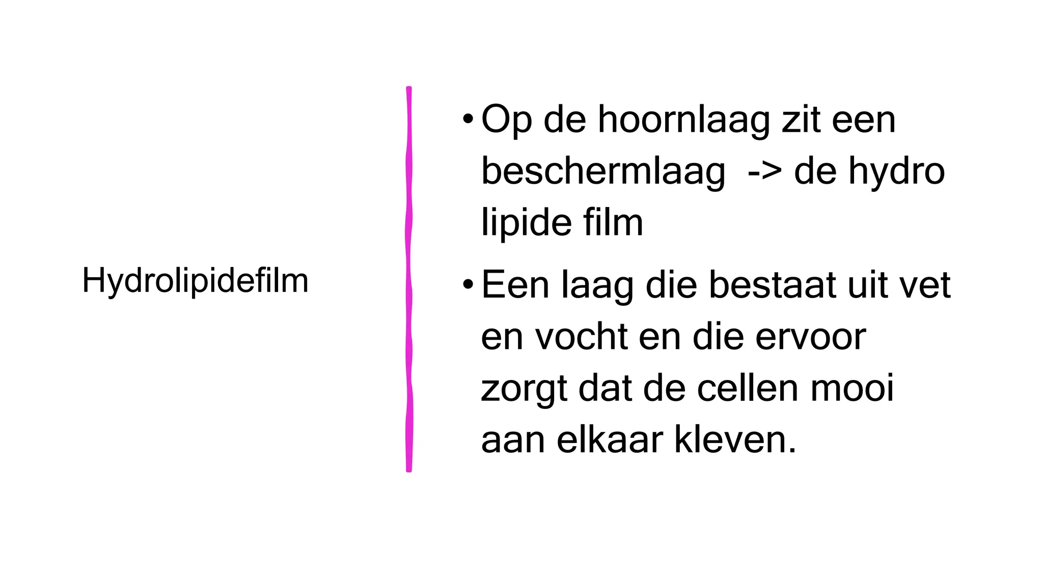 Alle basische theorie over de huid anatomy | PPTX