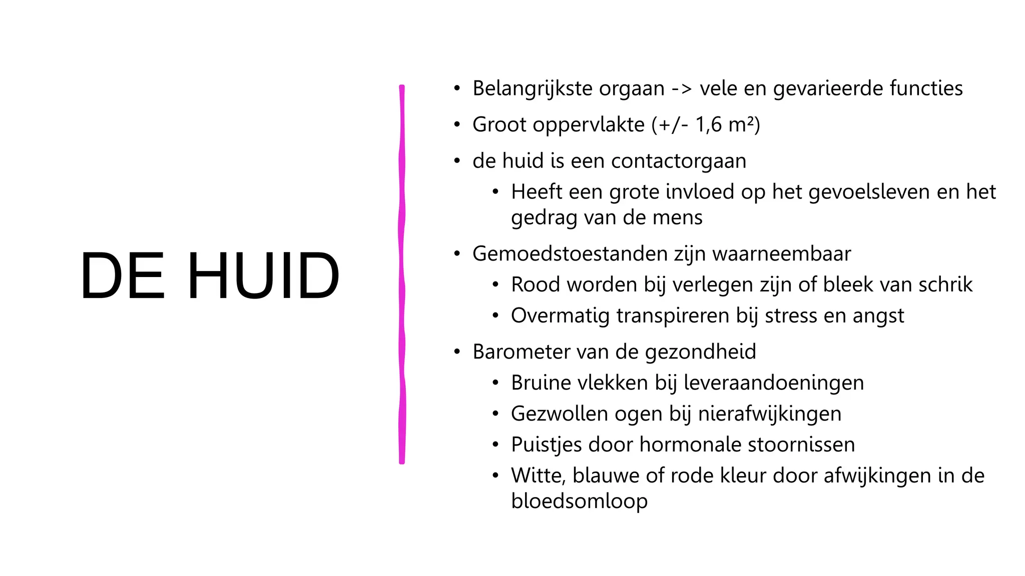 Alle basische theorie over de huid anatomy | PPTX