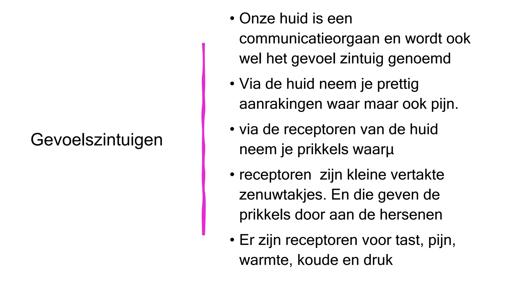 Alle basische theorie over de huid anatomy | PPTX