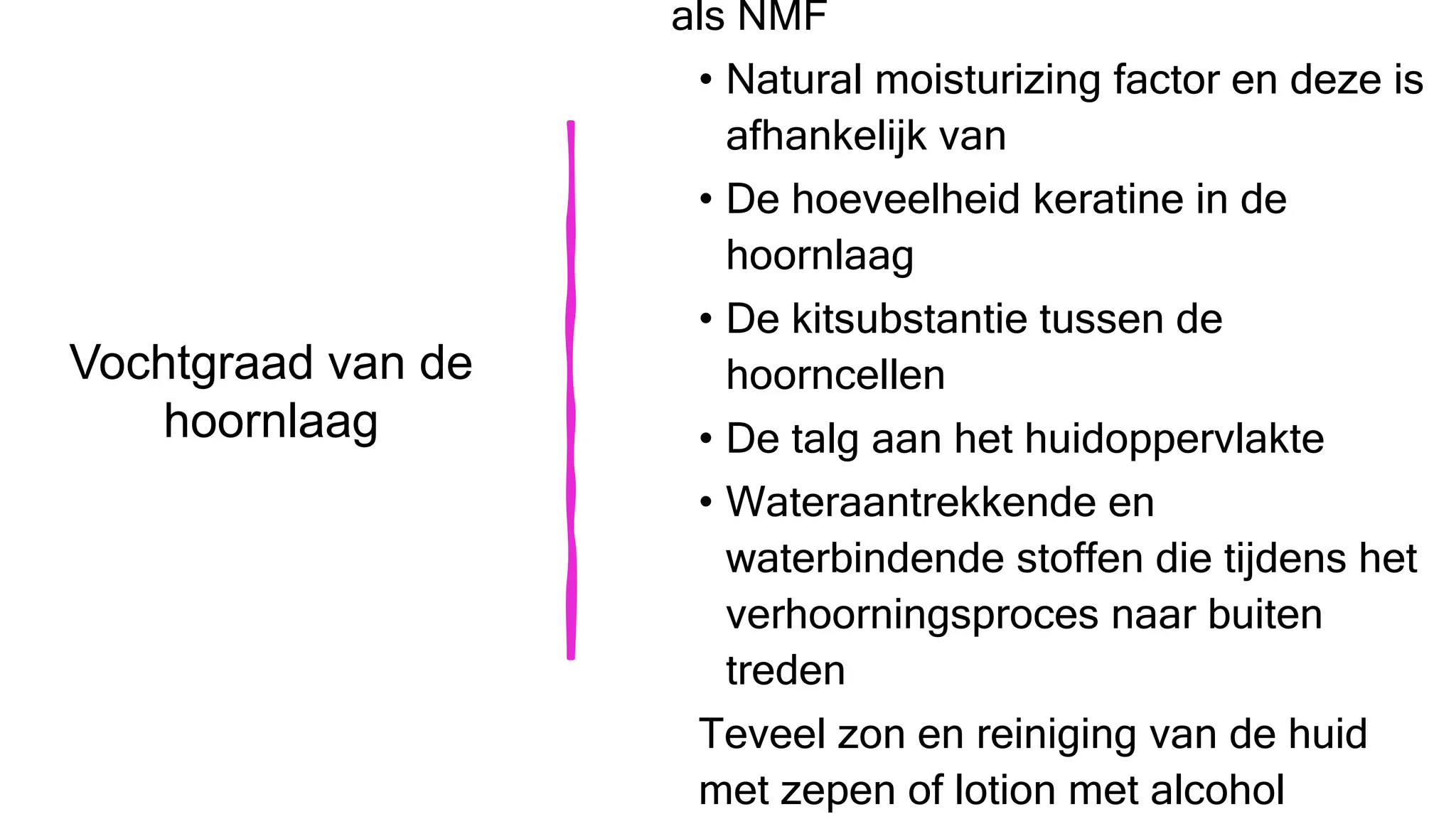 Alle basische theorie over de huid anatomy | PPTX