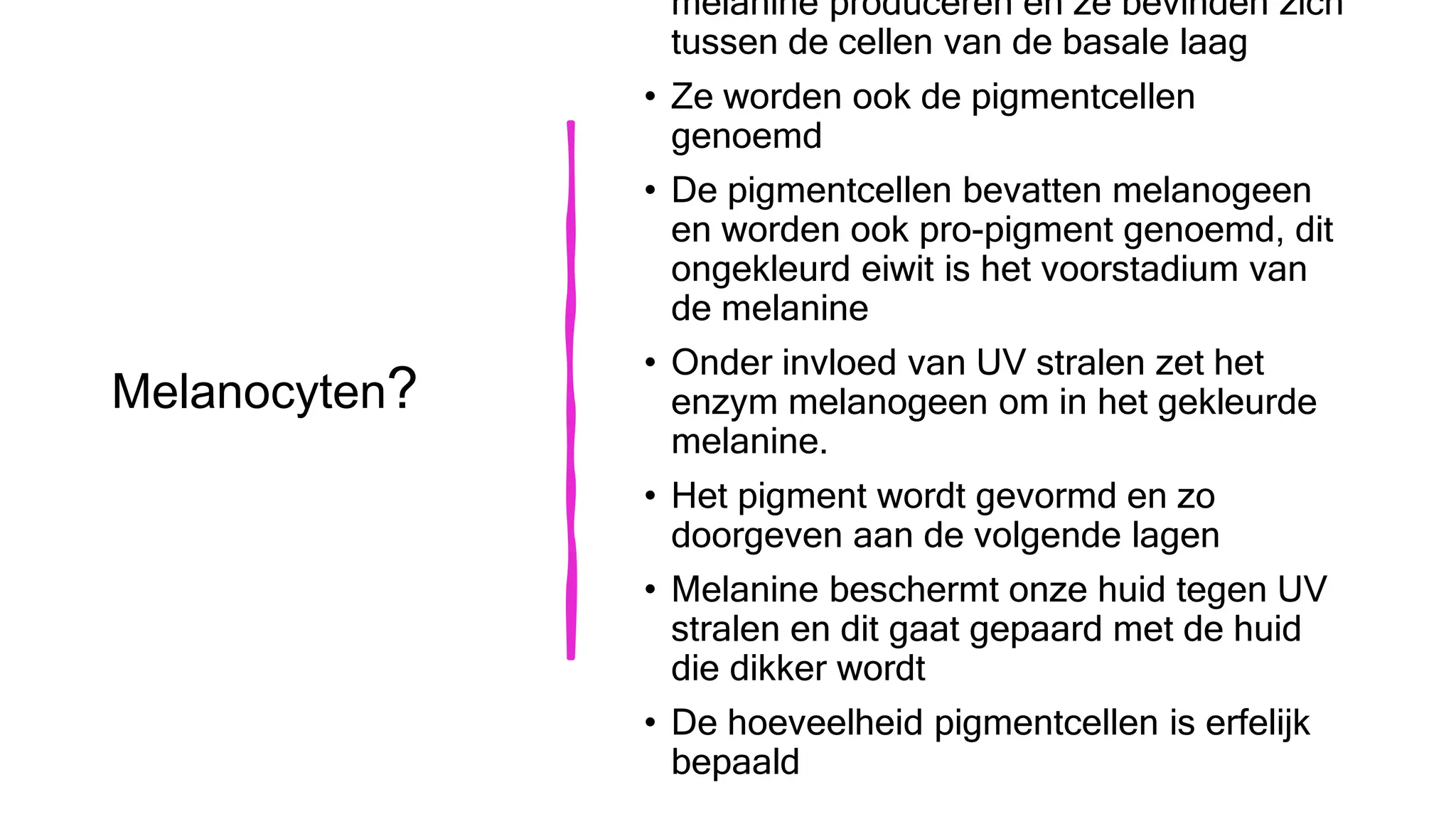 Alle basische theorie over de huid anatomy | PPTX