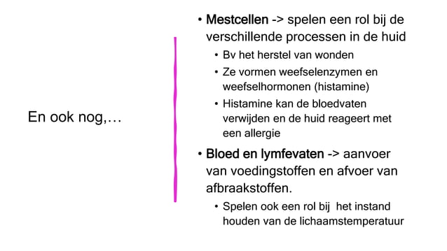 Alle basische theorie over de huid anatomy | PPTX