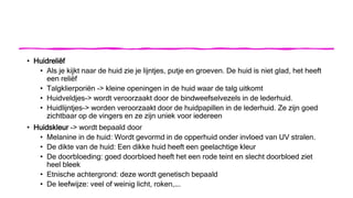 Alle basische theorie over de huid anatomy | PPTX