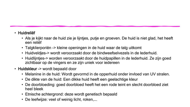 Alle basische theorie over de huid anatomy | PPTX