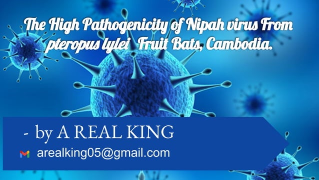 The high pathogenicity of Nipah virus from pteropus lylei fruit bats ...
