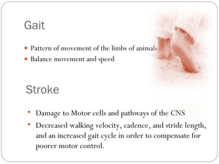 Powered Orthosis for Post-Stroke Gait Improvement | PPT