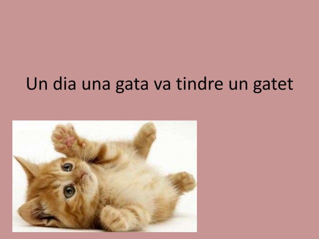 el gatet | PPT