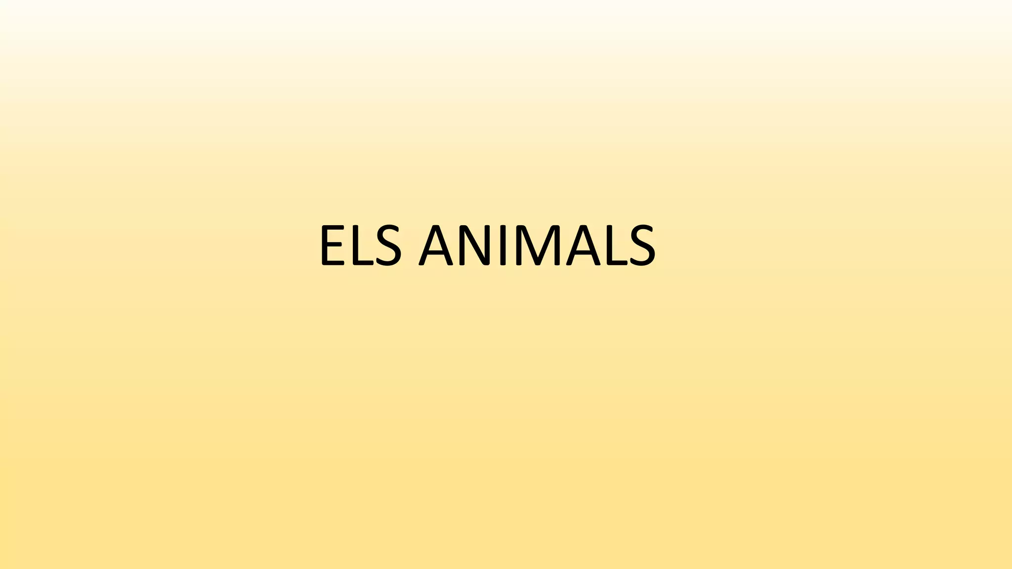 Els animals | PPTX