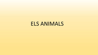 Els animals | PPTX