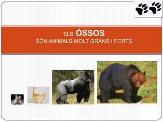 Power els óssos | PPT | Free Download