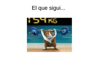 Power Esport | ODP