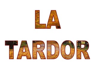 Power fruits tardor | PPTX