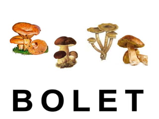 Power fruits tardor | PPTX