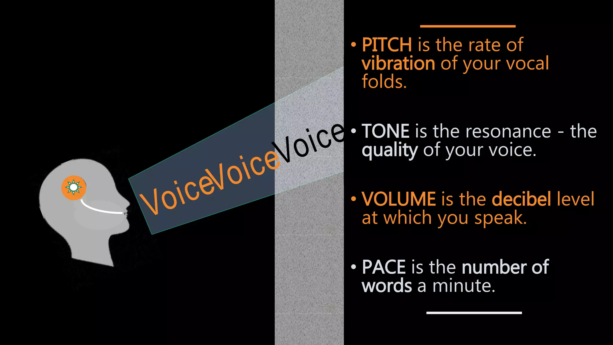 Public Speaking: The Anatomy of a Speech | PPSX