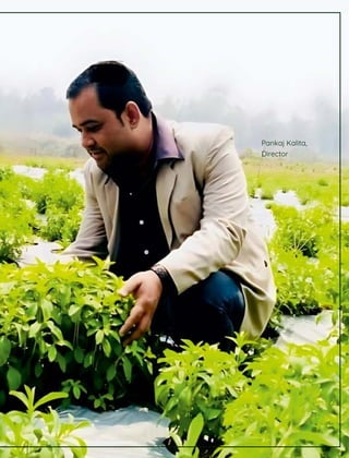 Powerful Men in Business 2023, June 2023.pdf