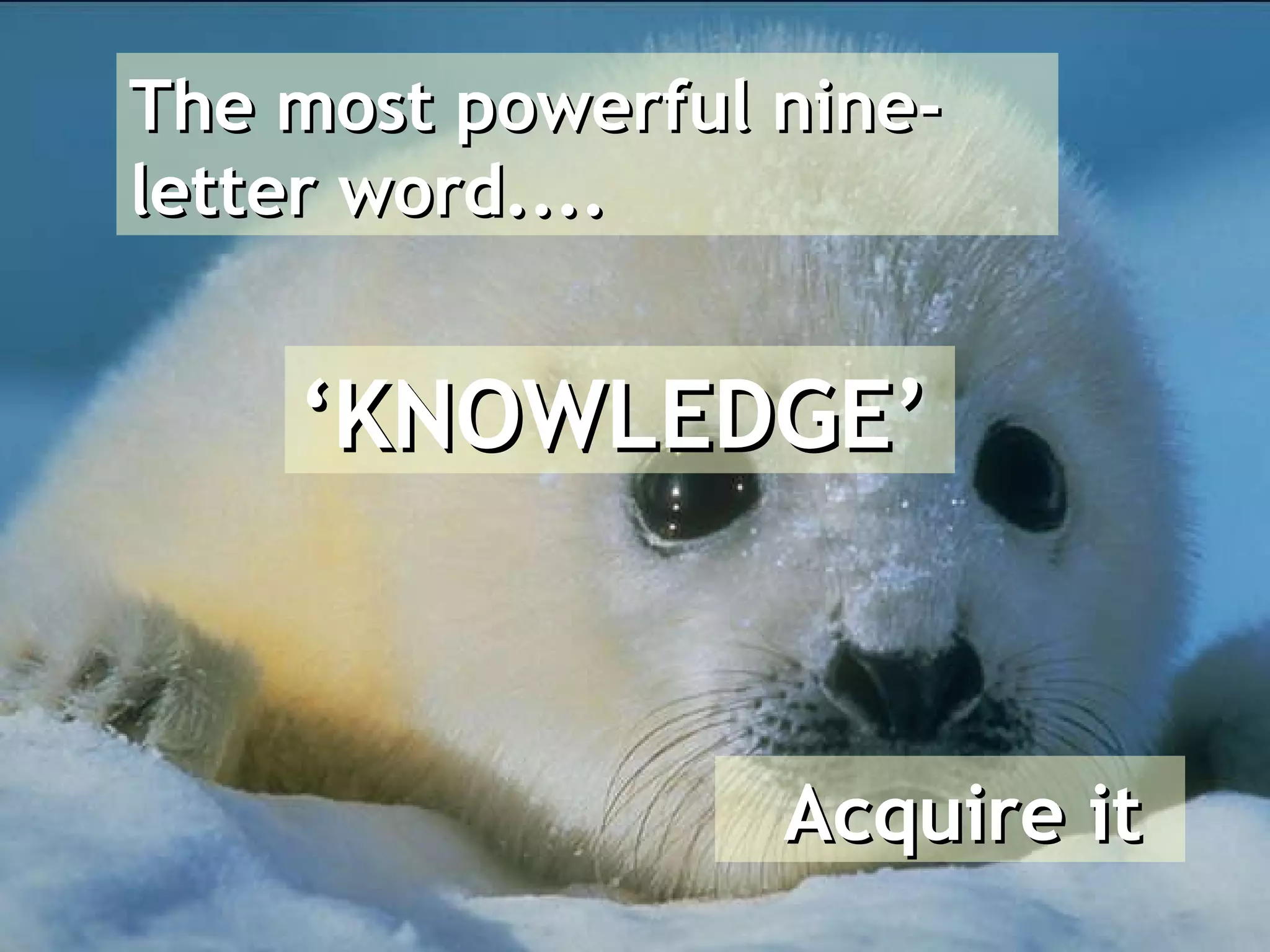 Powerful words | PPS
