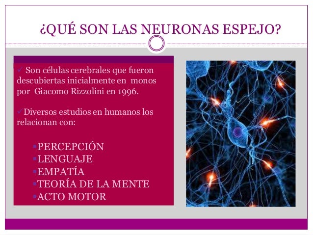 Neuronas Espejo