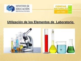 Elementos de Laboratorio | PPTX