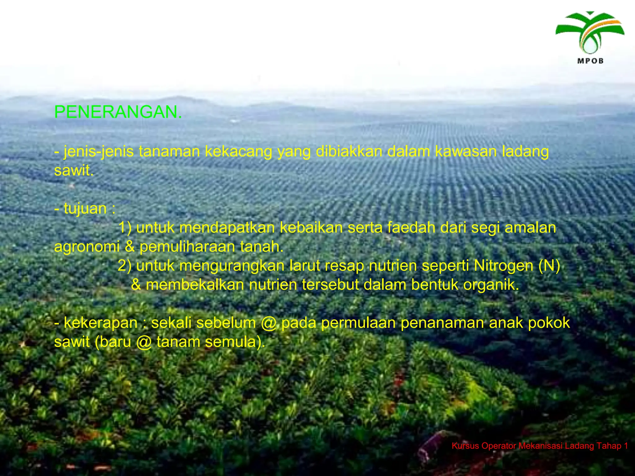 PENANAMAN TANAMAN PENUTUP BUMI DI KAWASAN LADANG | PPT