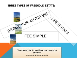 REAL PROPERTY LAW. ACTIVITIES FOR A LESSON | PPTX