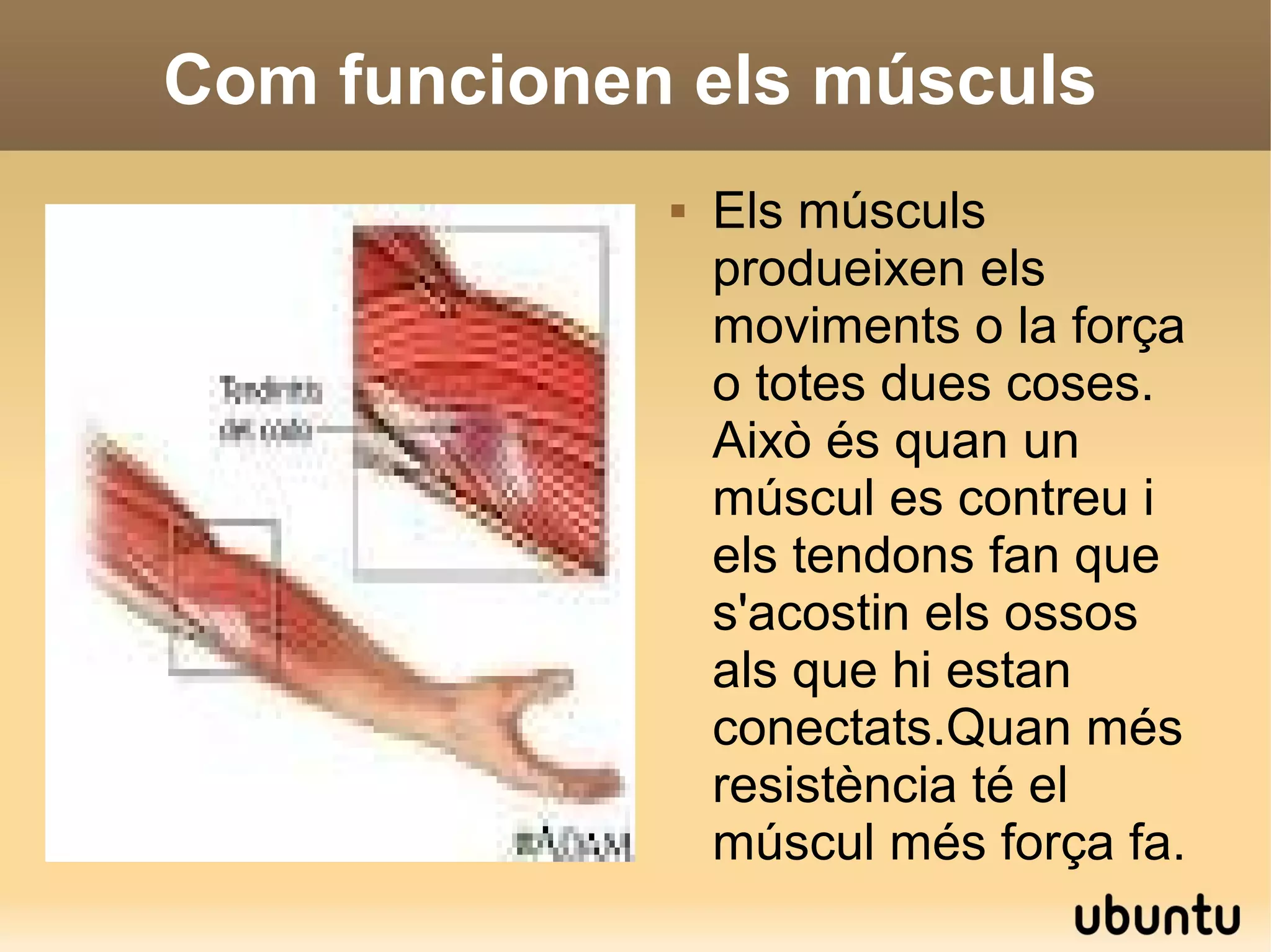 Power musculs | ODP