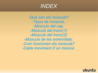 Power musculs | ODP