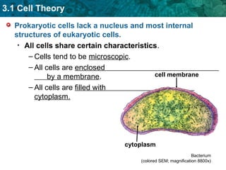 Cellular Theory Introduction | PPT