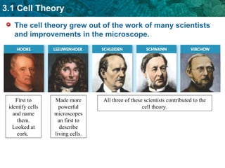 Cellular Theory Introduction | PPT