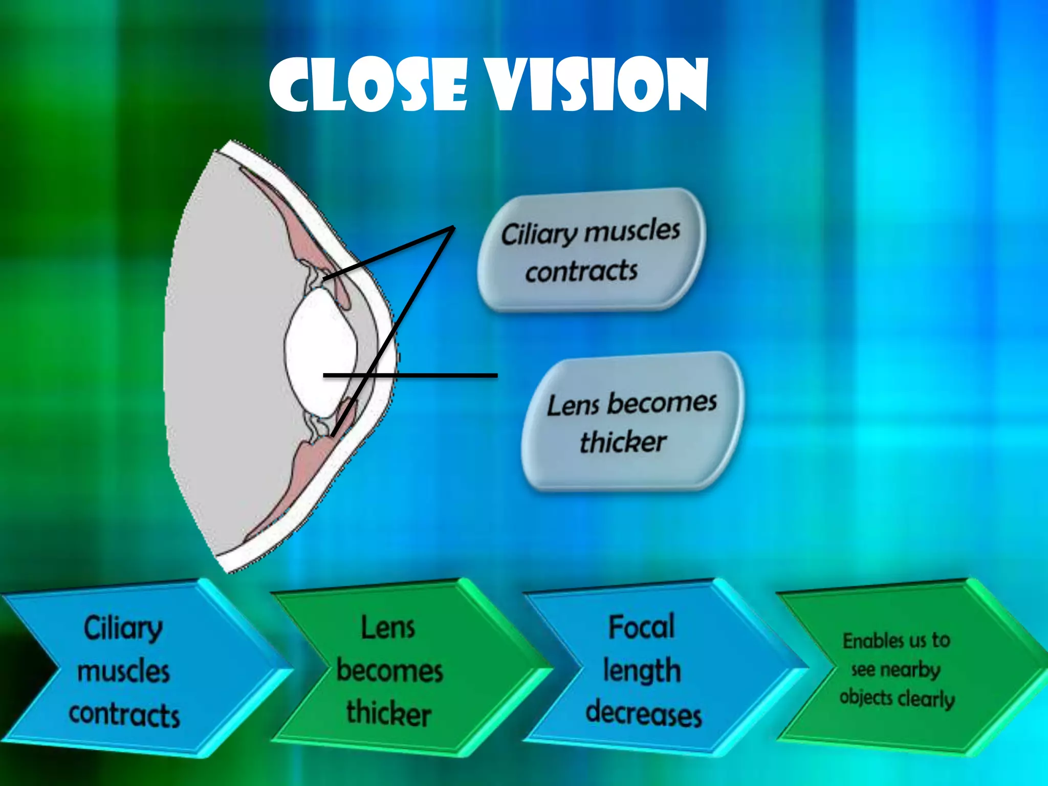 Power of Accommodation- Human Eye | PPTX