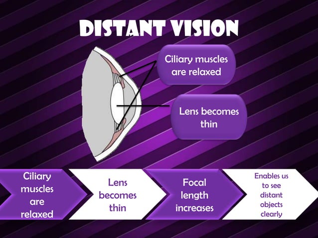 Power of Accommodation- Human Eye | PPTX | Eye and Vision Conditions ...