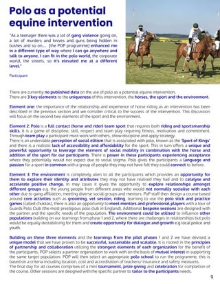 Power of Polo Pilot Phase Report | PDF