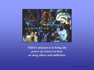 National Institute on Drug Abuse (NIDA) PPT Presentation | PPT