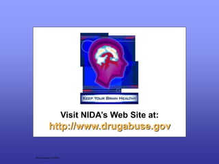 National Institute on Drug Abuse (NIDA) PPT Presentation | PPT
