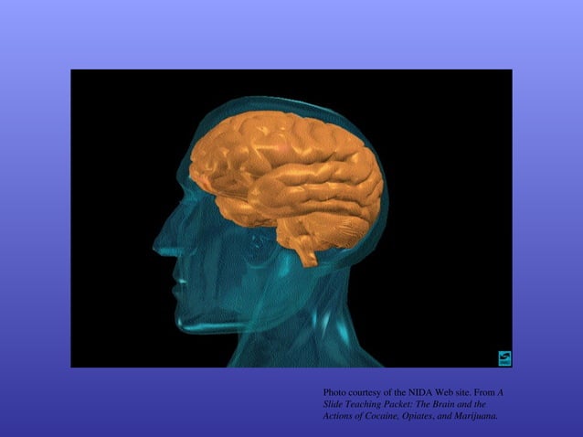 Science of Drugs and its effect on the brain.ppt