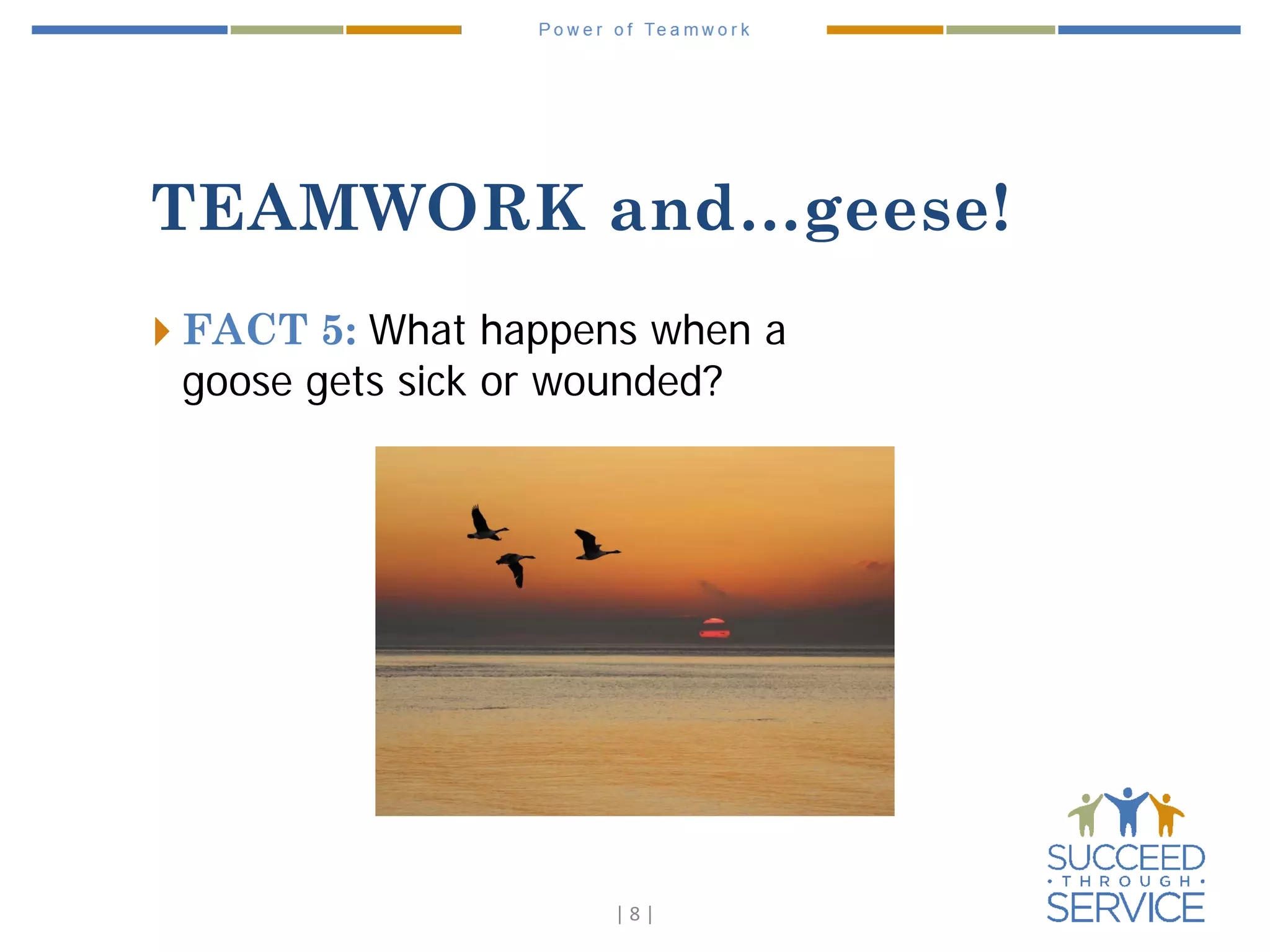 Power_of_Teamworkpdf.pdf