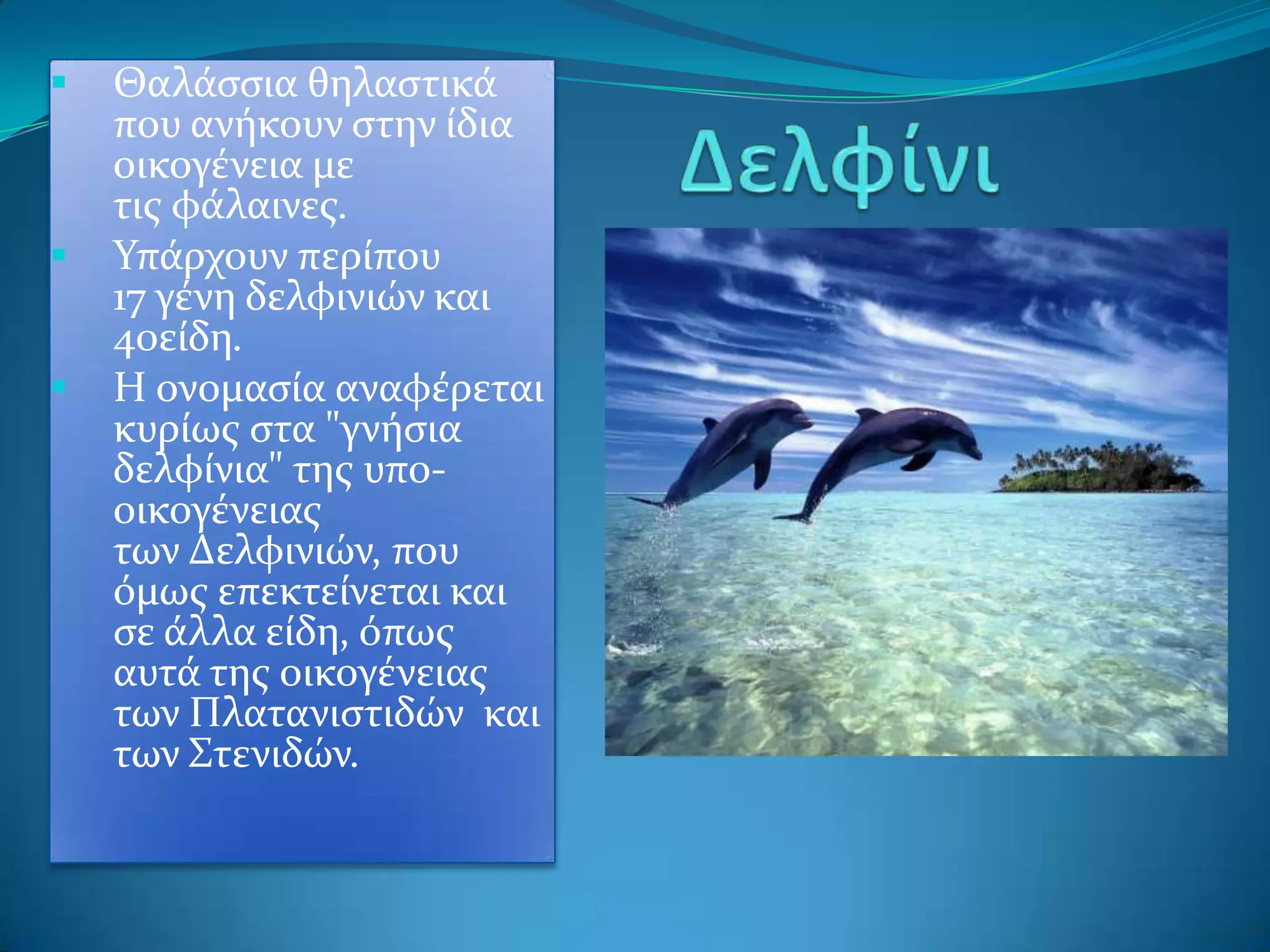 δελφίνι | PPTX